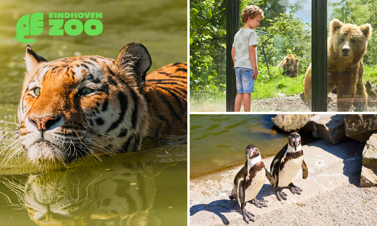 Maak kennis met Tarzan & Jane tegen een onverslaanbare prijs - Social Deal