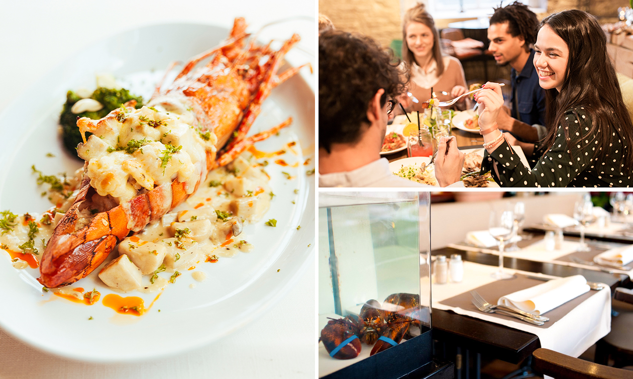 Restaurant Aquarius, Dîner homard en 3 services pour 2 personnes ...