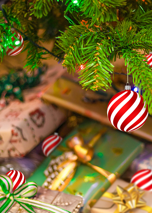 Veelgestelde vragen - Social Deal